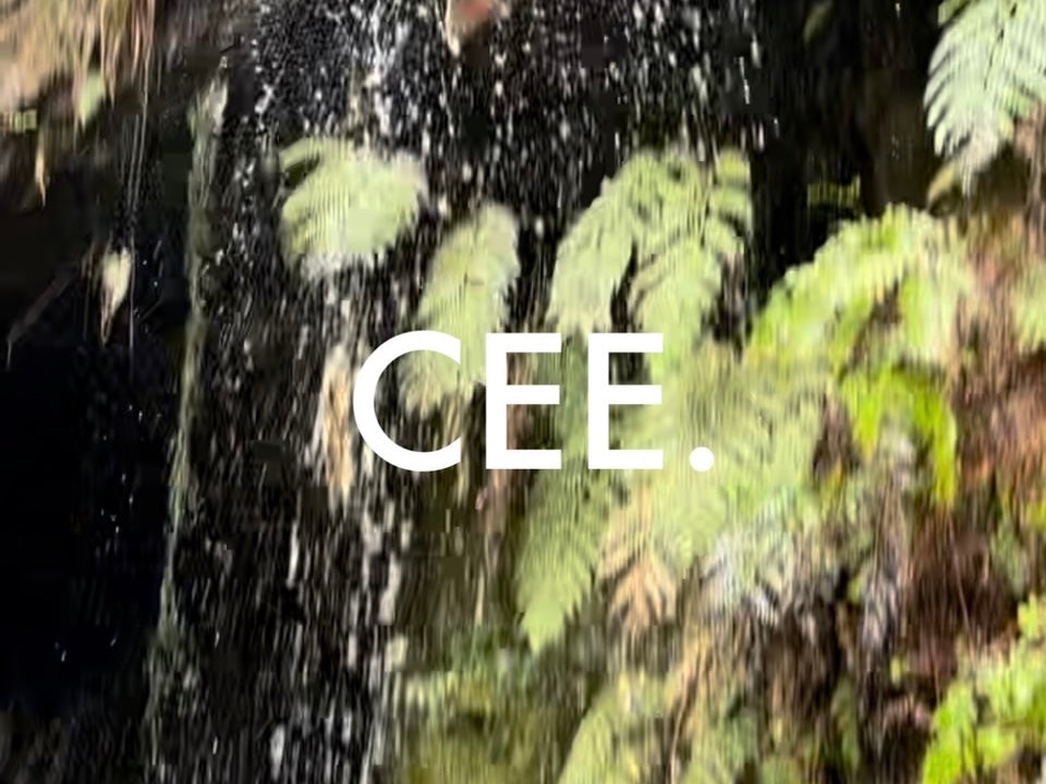CEE.